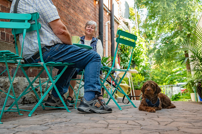 Where to Eat - Visit Carleton Place